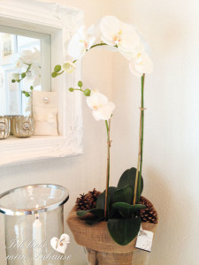 Luxus Orchideen Bertpfe Ikea Bilder